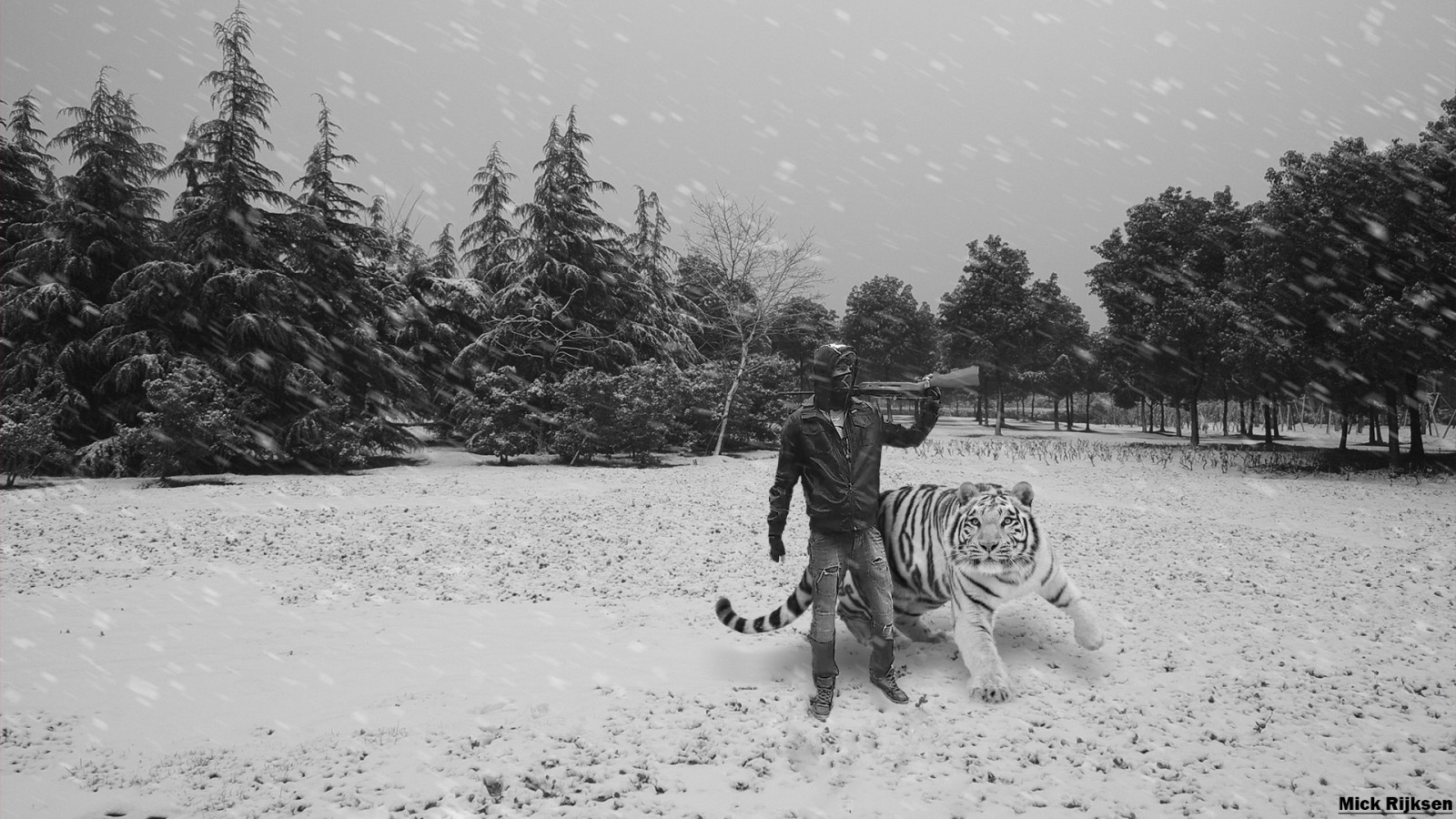 Wallpaper : tiger, snow, hunter 1920x1080 - macmln - 1169482 - HD ...