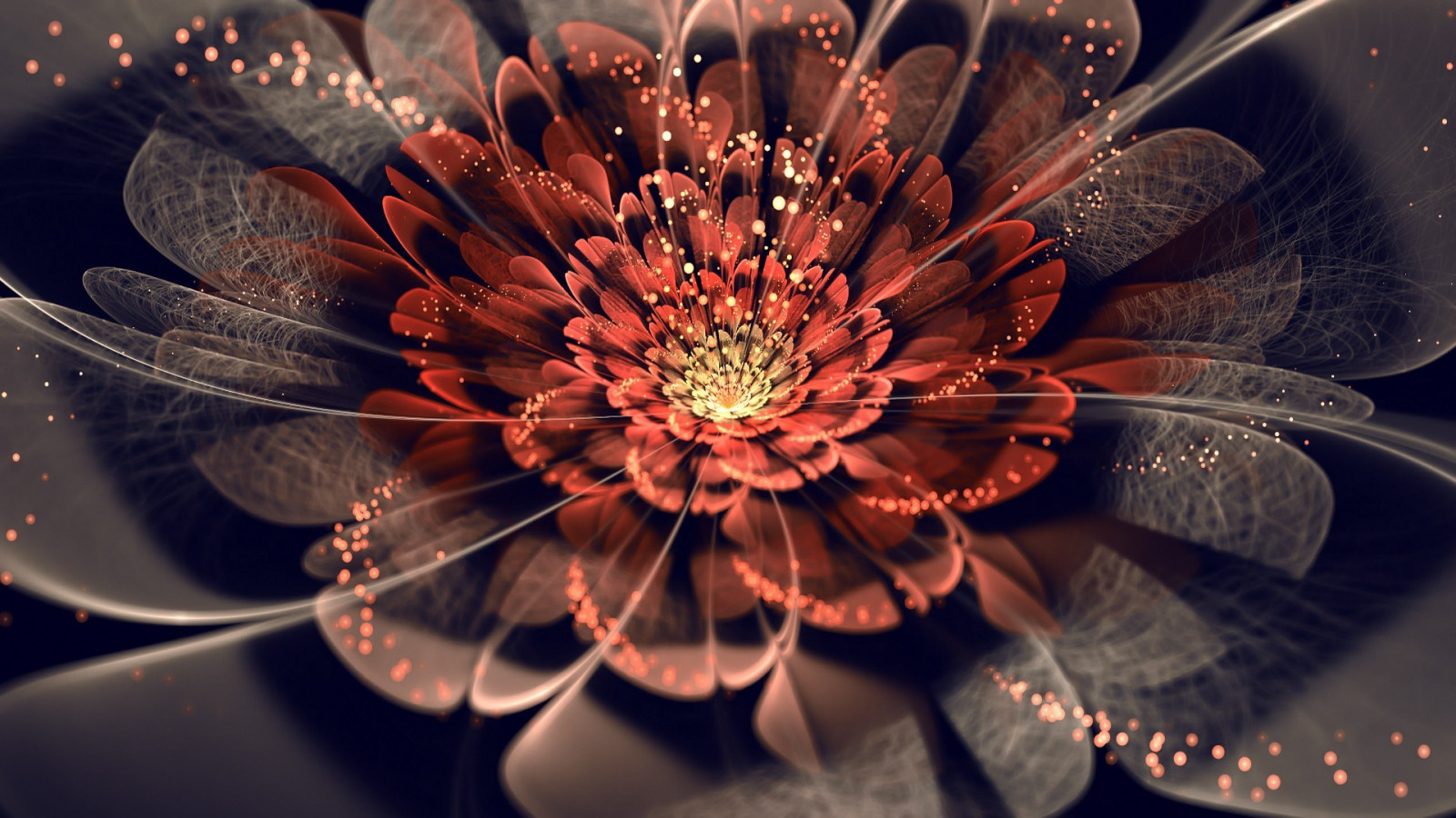 Fond Décran Art Numérique Fleurs Abstrait La Photographie