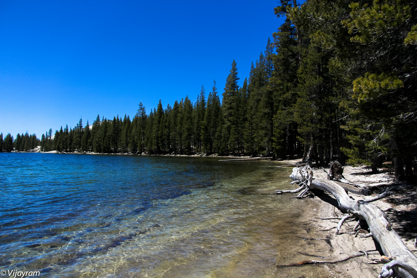 배경 화면 : 나무, 경치, 숲, 바다, 만, 호수, 자연, 육지, 반사, 하늘, 바닷가, 고요한, 푸른, 연안, 강, 정경 ...