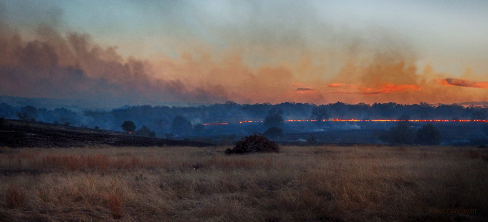 Wallpaper : landscape, fire, burn, grasses, sunset, acres, trees, smoke ...