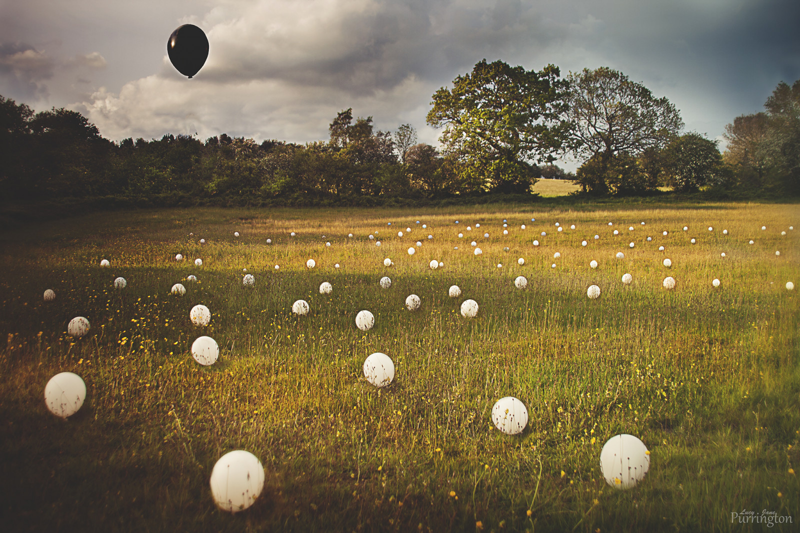 Wallpaper : field, surrealism, balloon, surreal, surrealist 2048x1365 ...