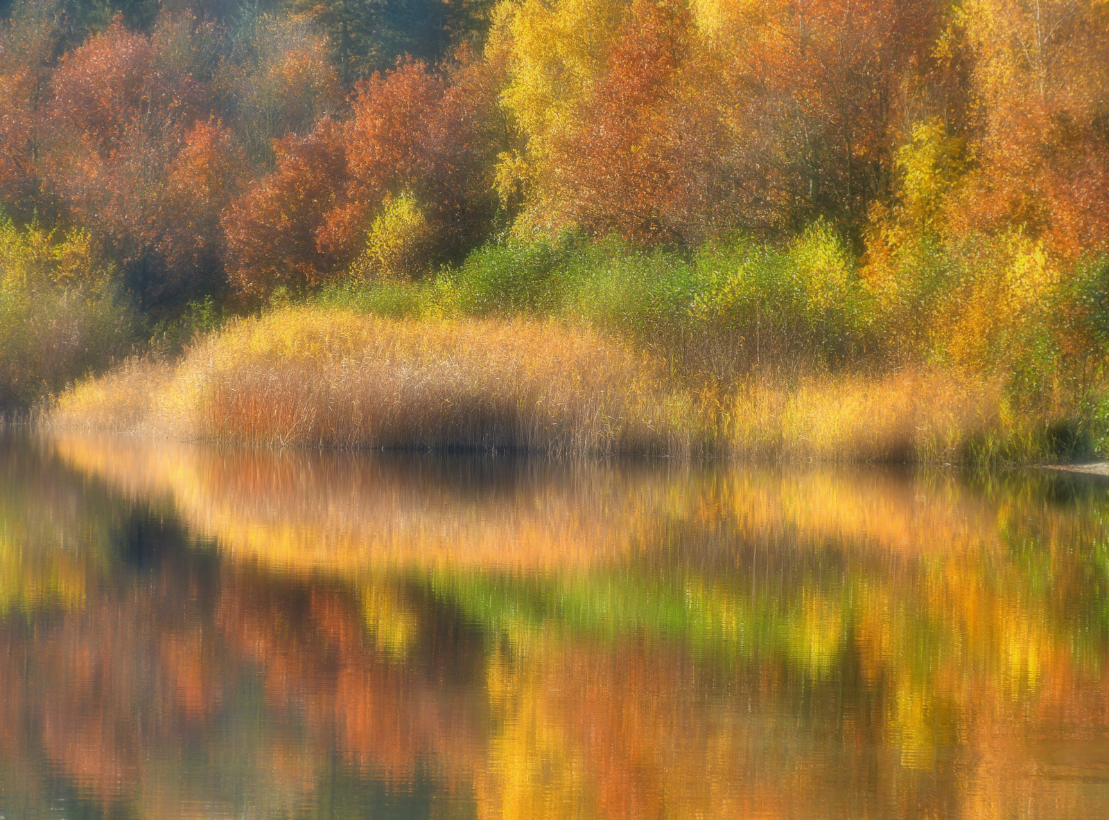 배경 화면 : 가을, 네덜란드, 허풍, Drunen, 바드 위크 크루 오버 라트, bestcapturesaoi 3882x2873 ...