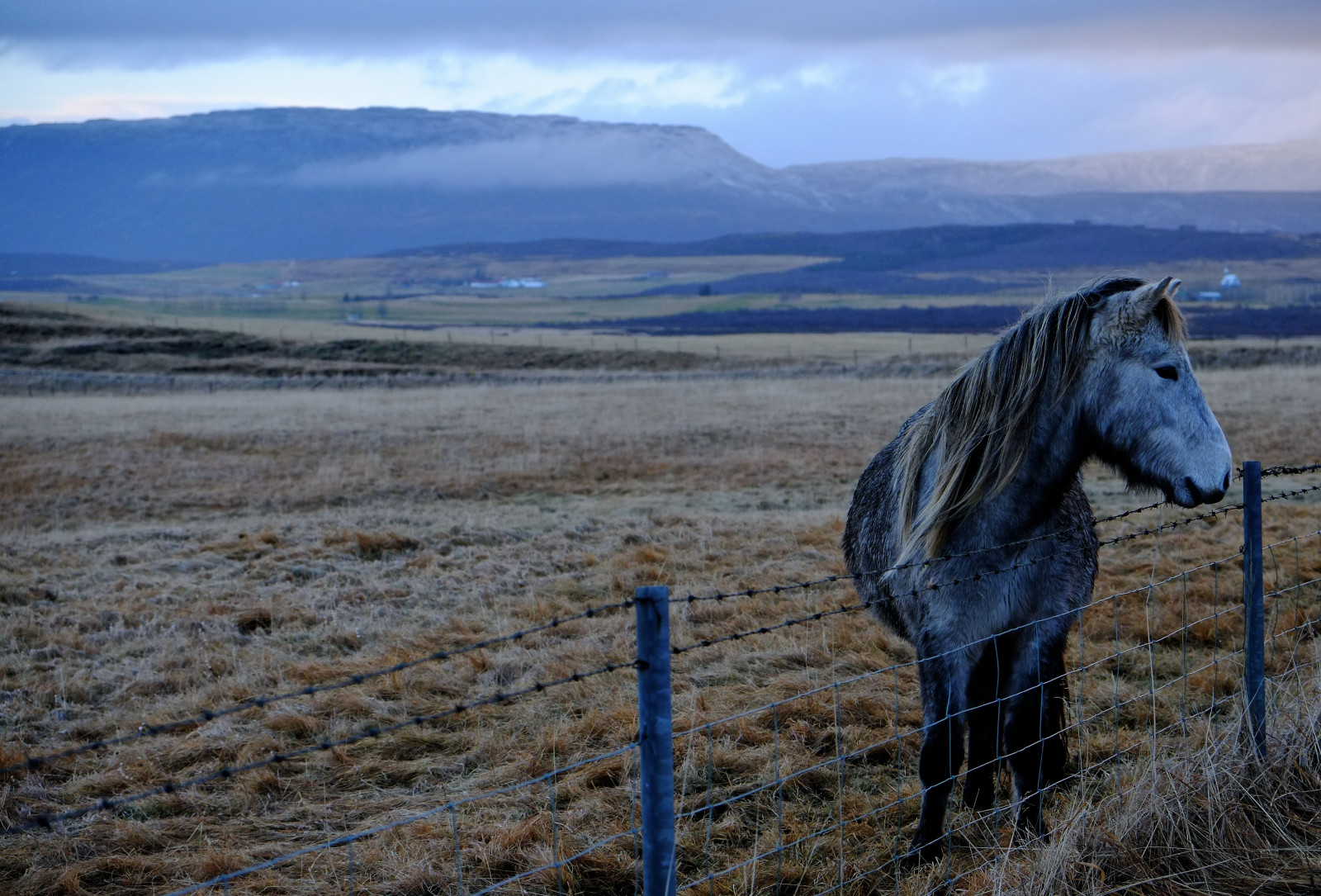 Bakgrundsbilder : landskap, bergen, kulle, gräs, himmel, snö, vinter ...