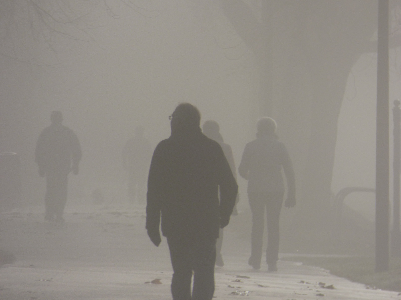 Wallpaper : trees, people, park, shadow, snow, Scotland, ice, morning ...