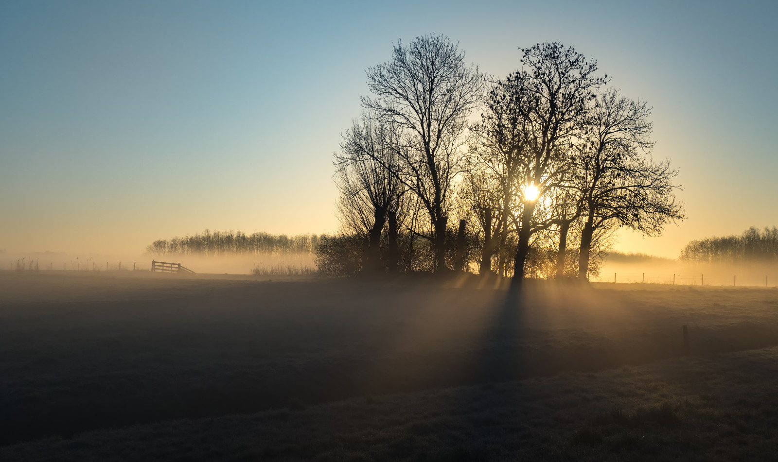 Bakgrundsbilder : solljus, träd, landskap, solnedgång, vatten, himmel ...
