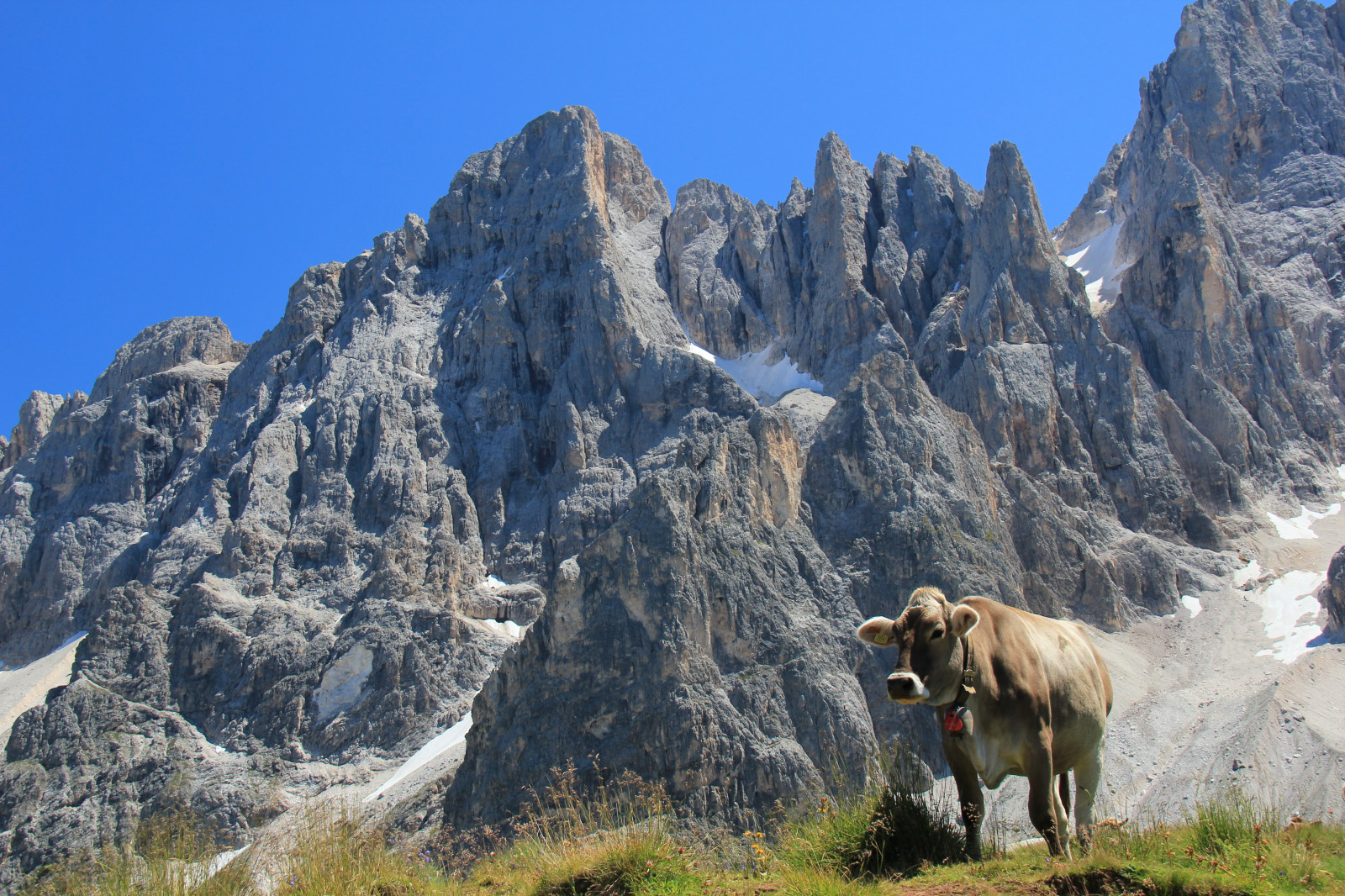 Obrázky na plochu : Taliansko, hory, Alpy, krajina, Muka, alpi ...