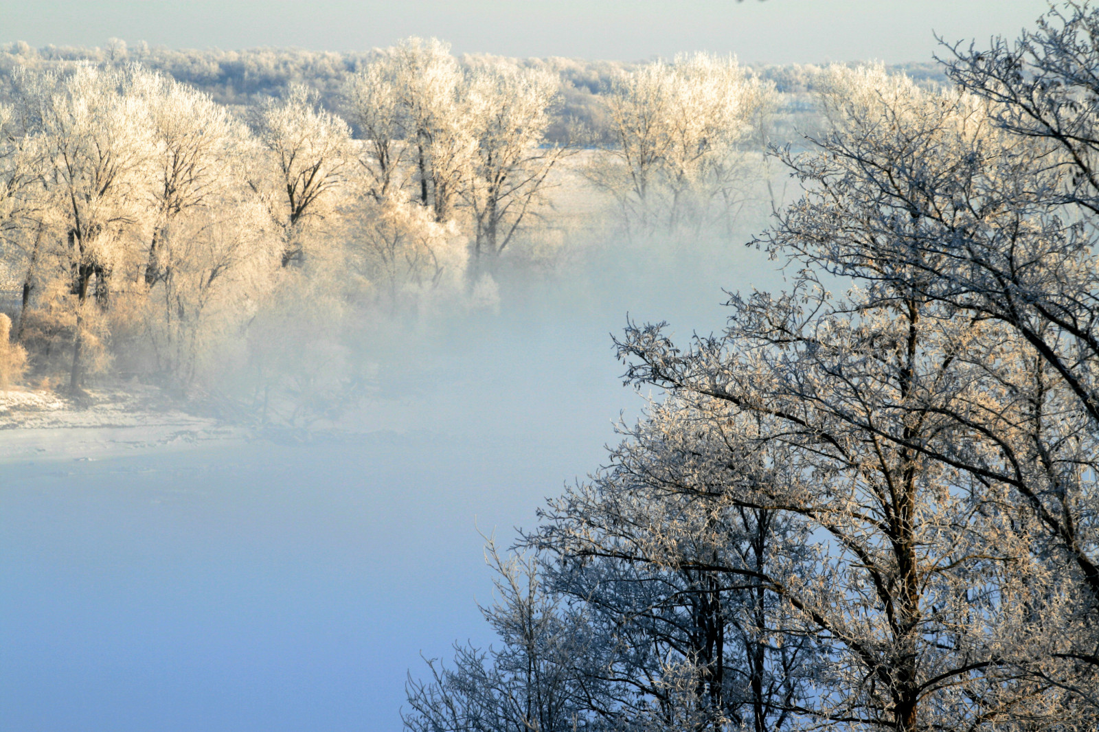 Wallpaper : morning, trees, winter, cold, ice, fog, sunrise, river ...