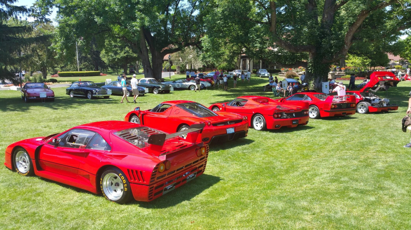 Imagini de fundal : parc, mașină sport, Ferrari, supercar, vehicul de ...