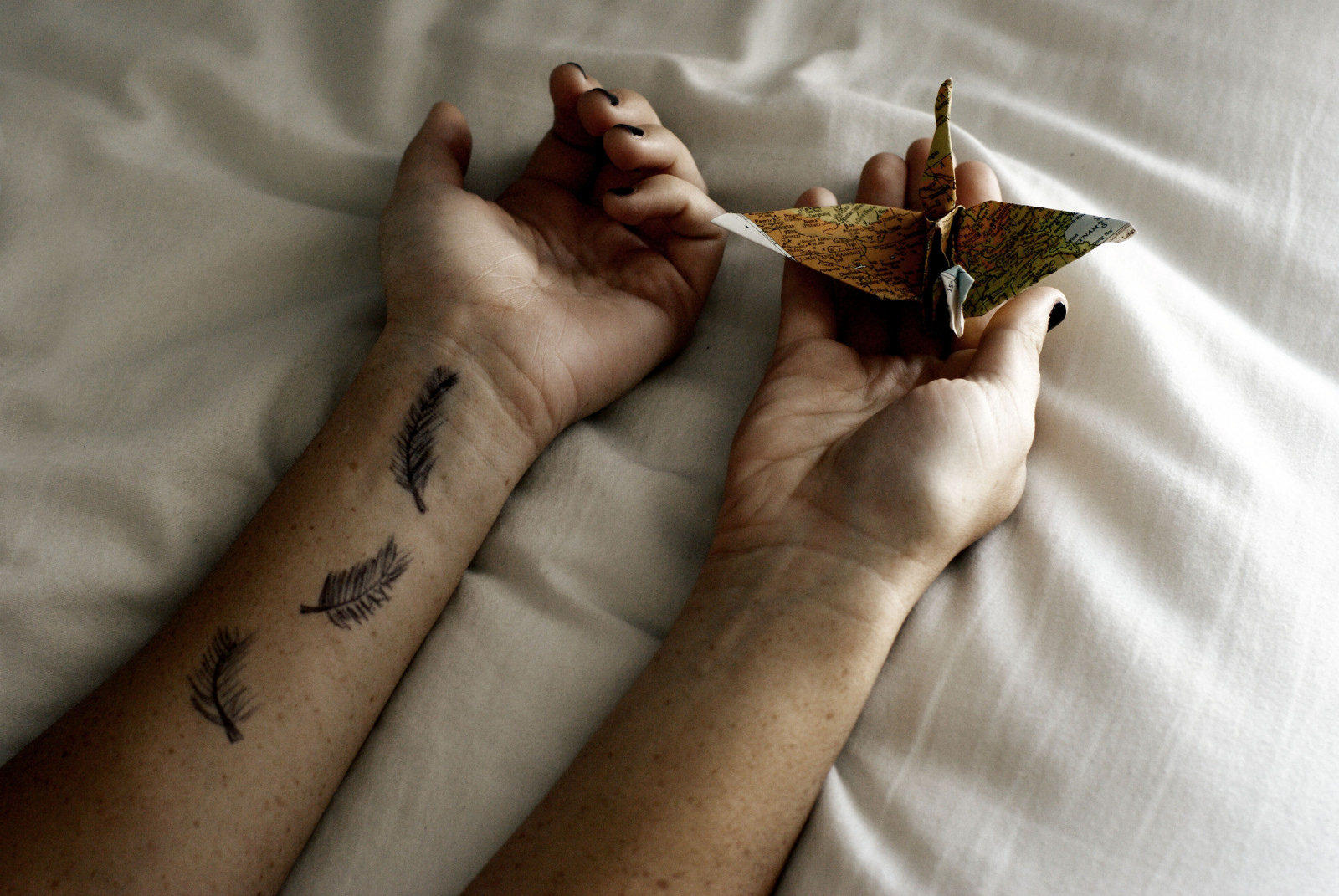 Ingyenes háttérképek : Toll, papír, ágy, kezek, fegyver, daru, rajz ...