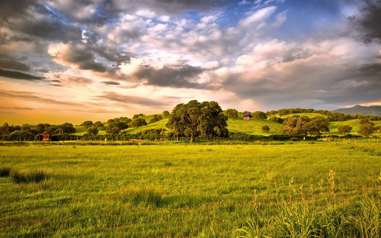 Sfondi : luce del sole, alberi, paesaggio, tramonto, collina, natura ...