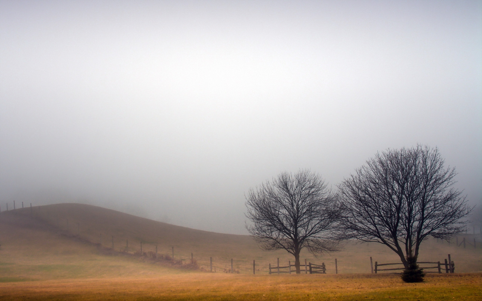 Wallpaper : landscape, fog, fence, field 1920x1200 - CoolWallpapers ...