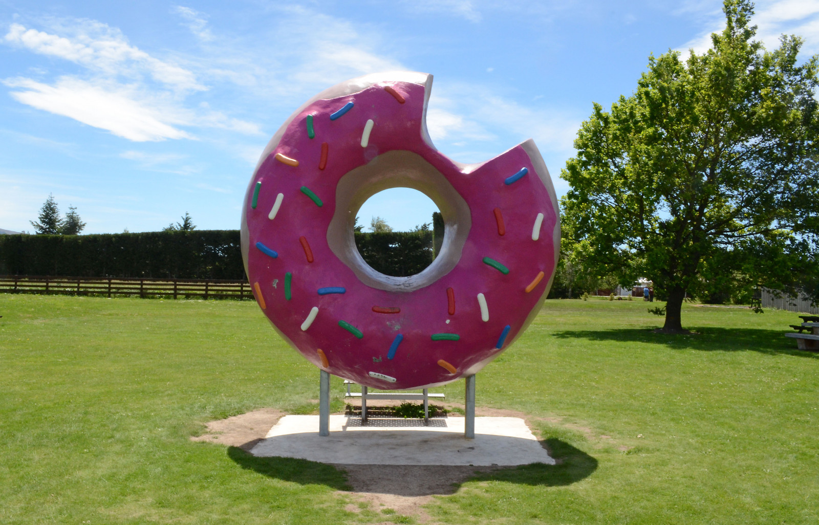 Baggrunde : New Zealand, skulptur, bart, donut, nz, Homer, southisland ...