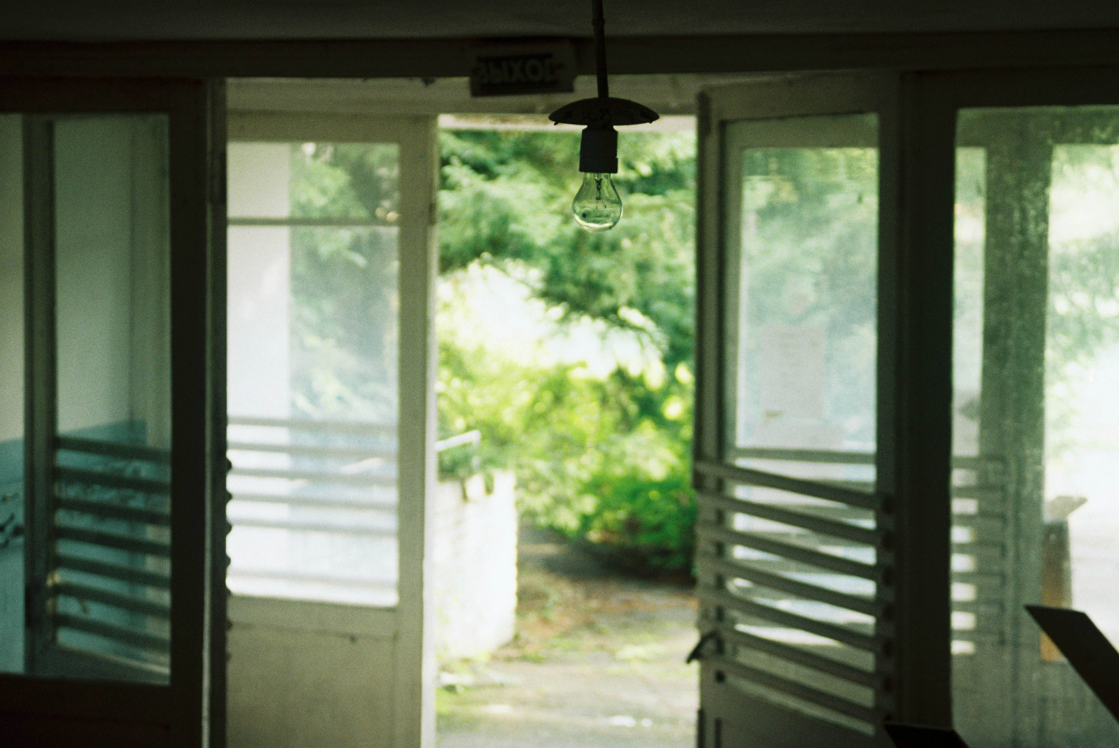 Wallpaper : film grain, photography, sunlight, trees 3501x2342 ...