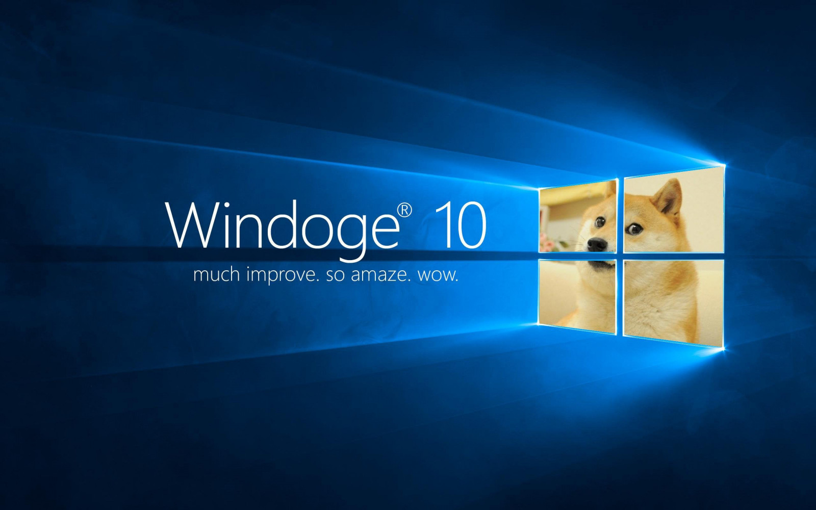 Doge Windows 10 Wallpaper
