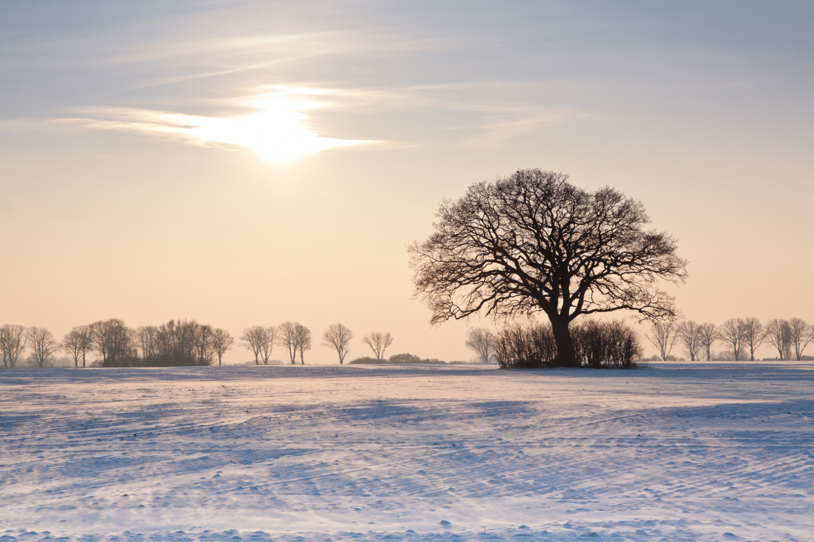Baggrunde : sollys, træer, landskab, solnedgang, himmel, sne, vinter ...