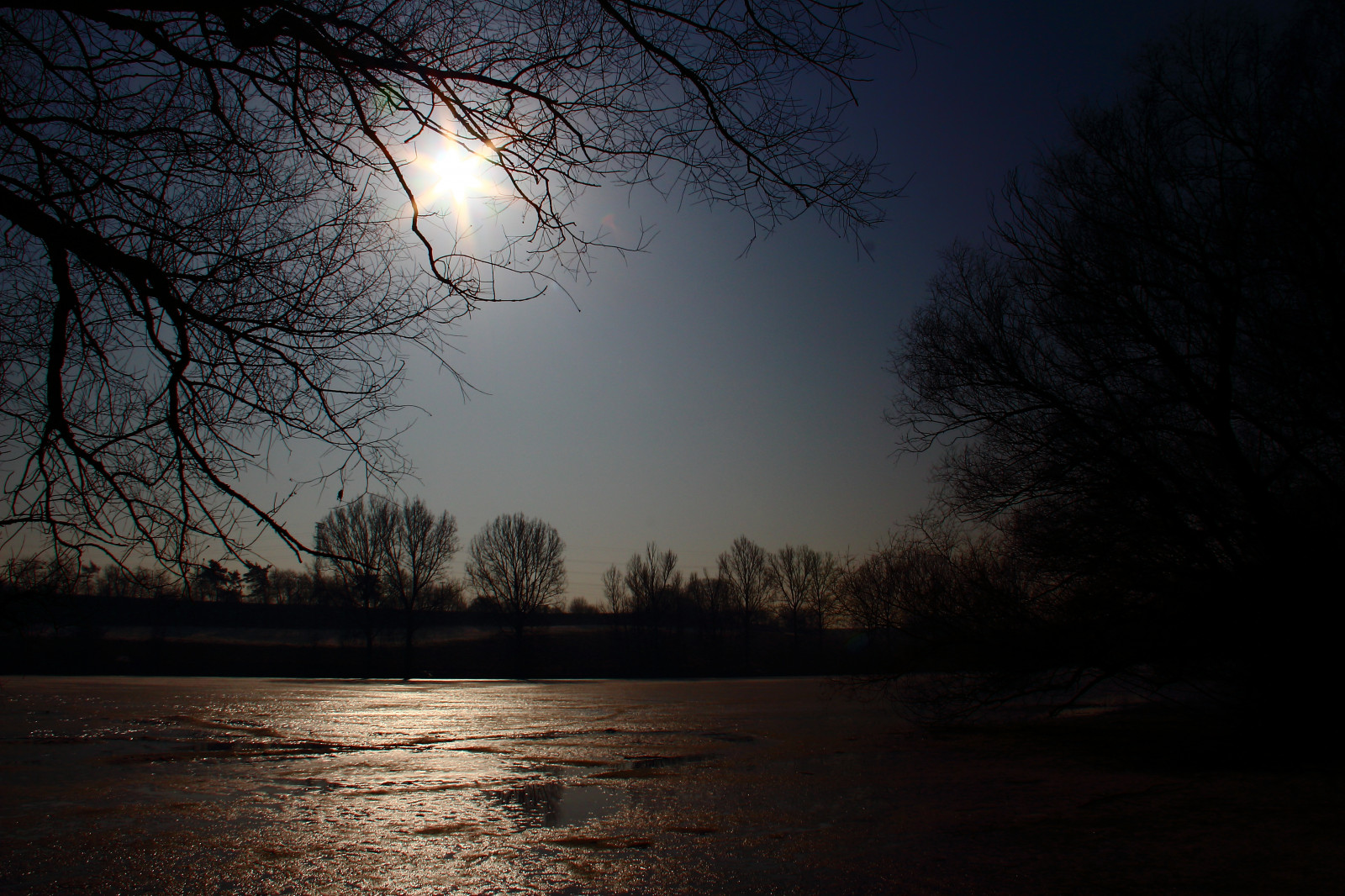 Wallpaper : pond, Sun, tree, ice, melting, slany, branches 5184x3456 ...