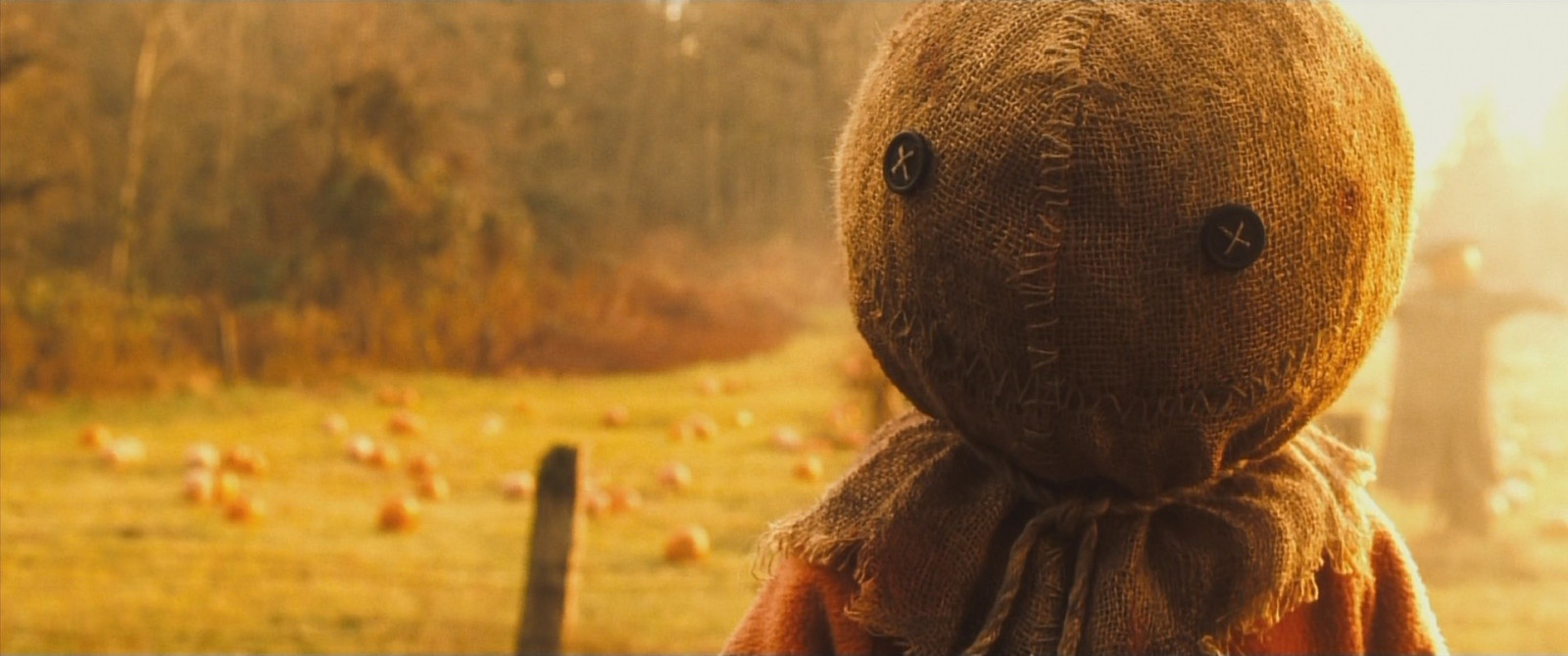 Wallpaper : temple, sunlight, Halloween, pumpkin, movies, wildlife, Sam ...