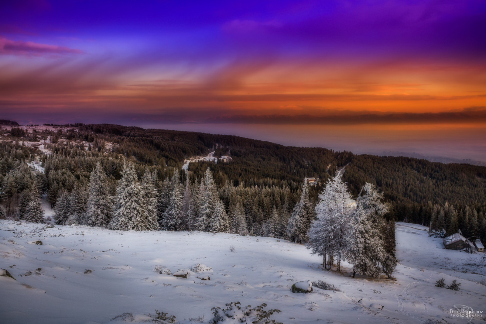 Wallpaper : winter, snow, color, landscape, three, winterscape ...