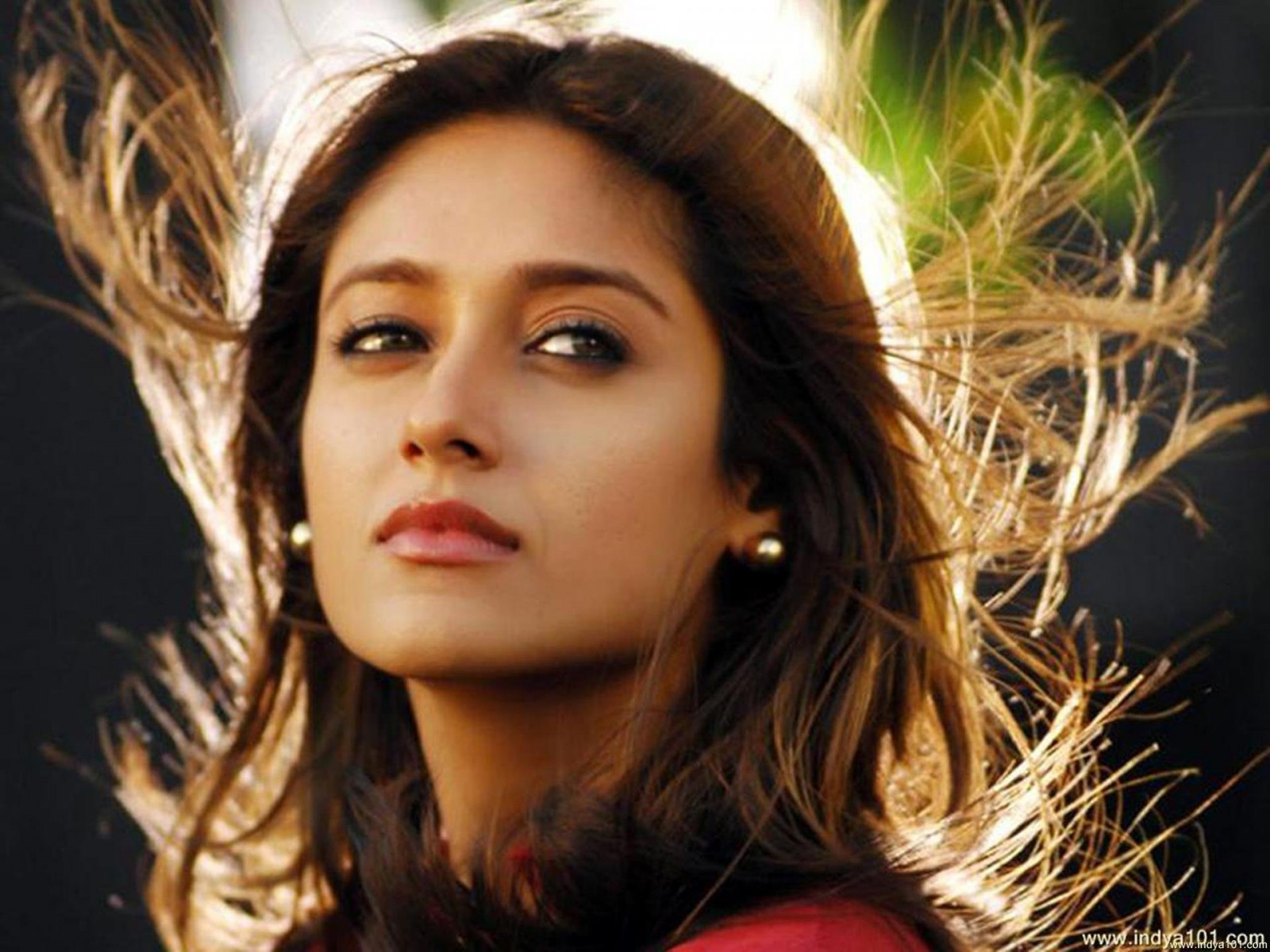 Wallpaper : 1920x1440 px, 7, actress, babe, Dcruz, ileana, Indian ...