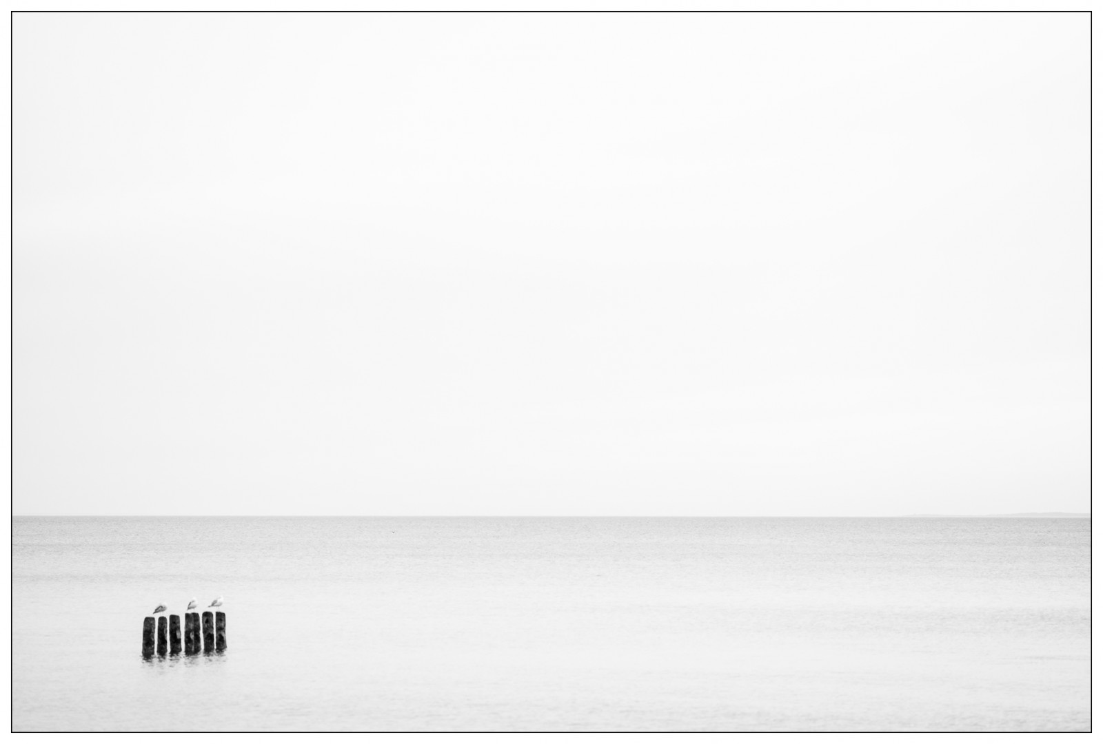 Ingyenes háttérképek : rajz, tenger, strand, szöveg, Leica, márka ...