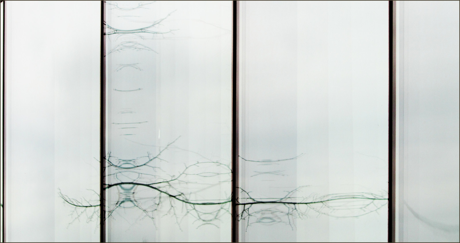 Wallpaper : drawing, window, reflection, glass, Berlin, angle, tree ...