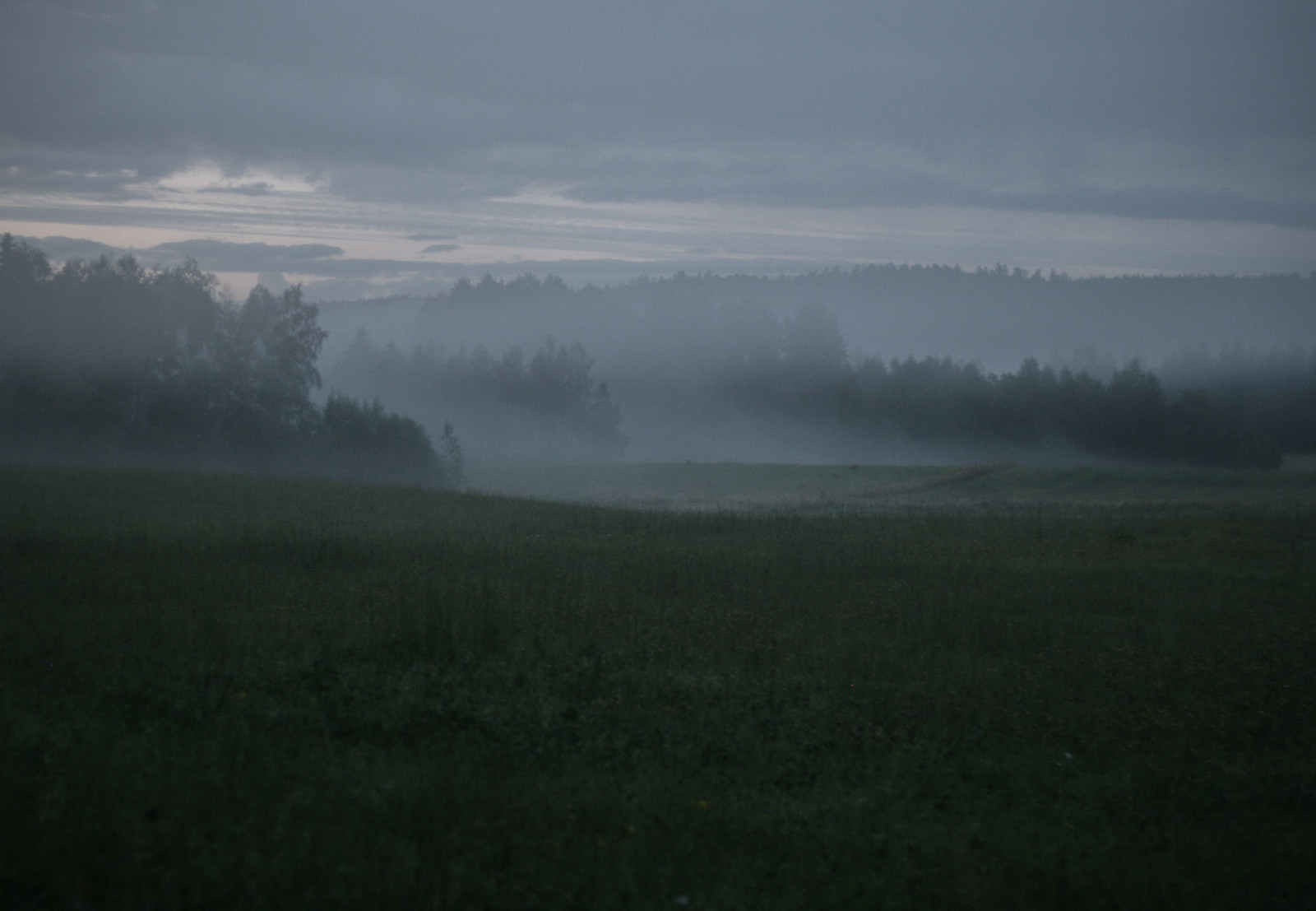 Wallpaper : blue, trees, sky, mist, tree, green, field, grass, fog ...