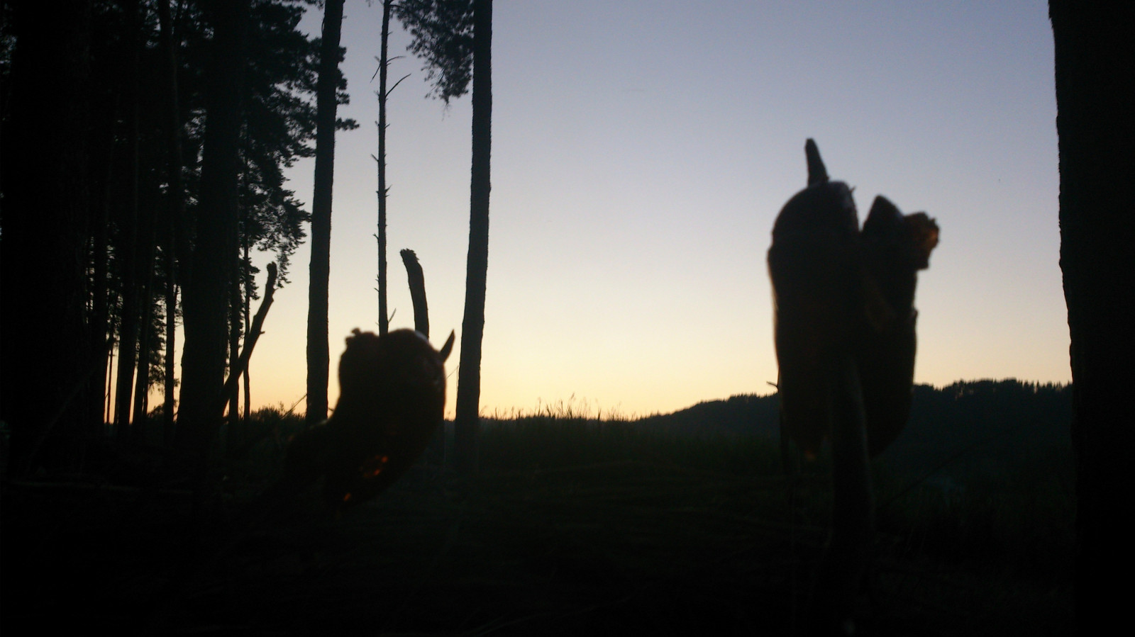 Wallpaper Sunlight Food Sunset Sky Shadow Silhouette Sunrise