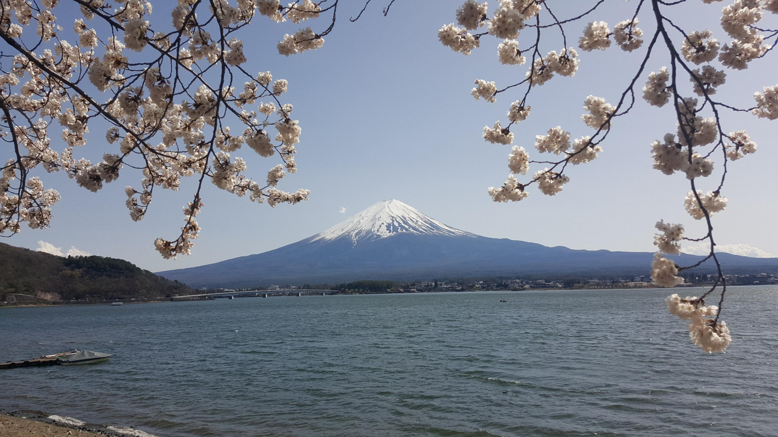 Wallpaper : Japan, nature, Mount Fuji, lake, spring 3264x1836 - meartan ...