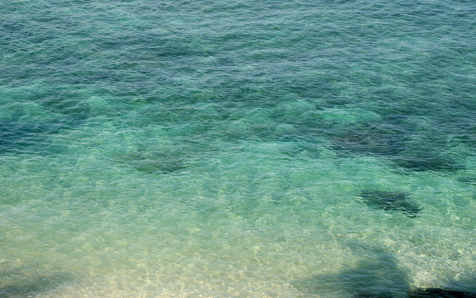 Wallpaper Sea Bay Water Shore Beach Coast Underwater Coral