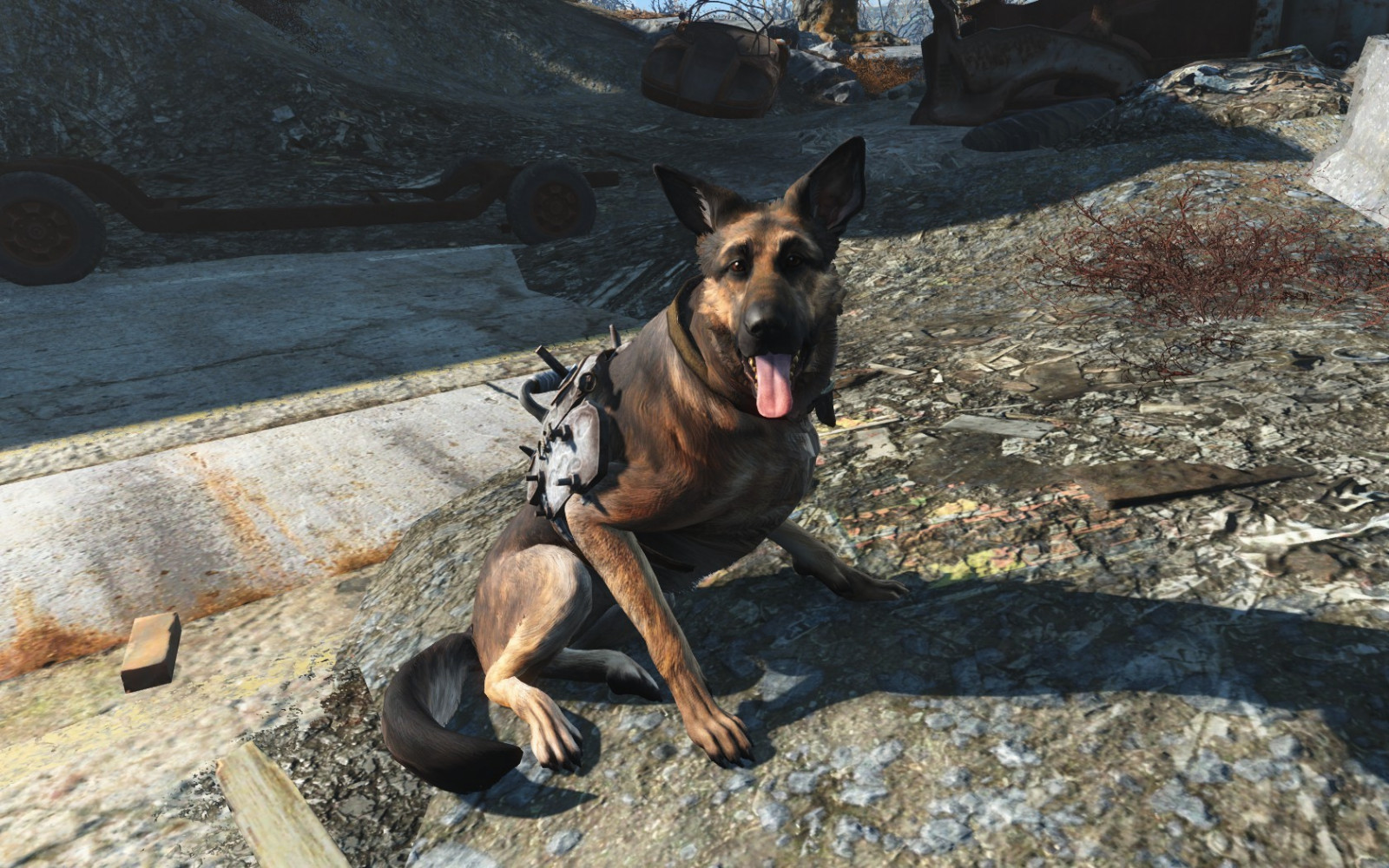 Wallpaper : video games, Fallout 4, Dogmeat, vertebrate, dog like ...