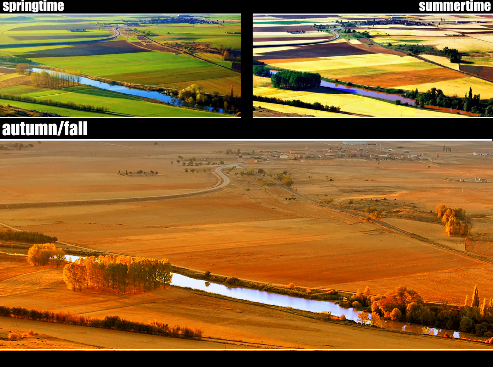 Masaüstü : sonbahar, yaz, Primavera, Bahar, Nikon, Mevsim, görünüm ...