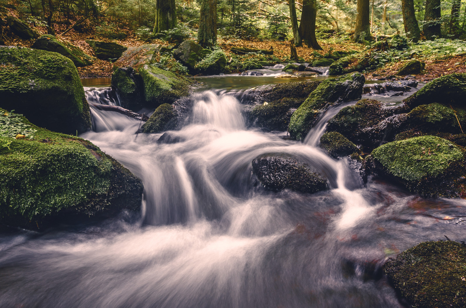 Bakgrundsbilder : landskap, skog, Vattenfall, vatten, sten, natur ...