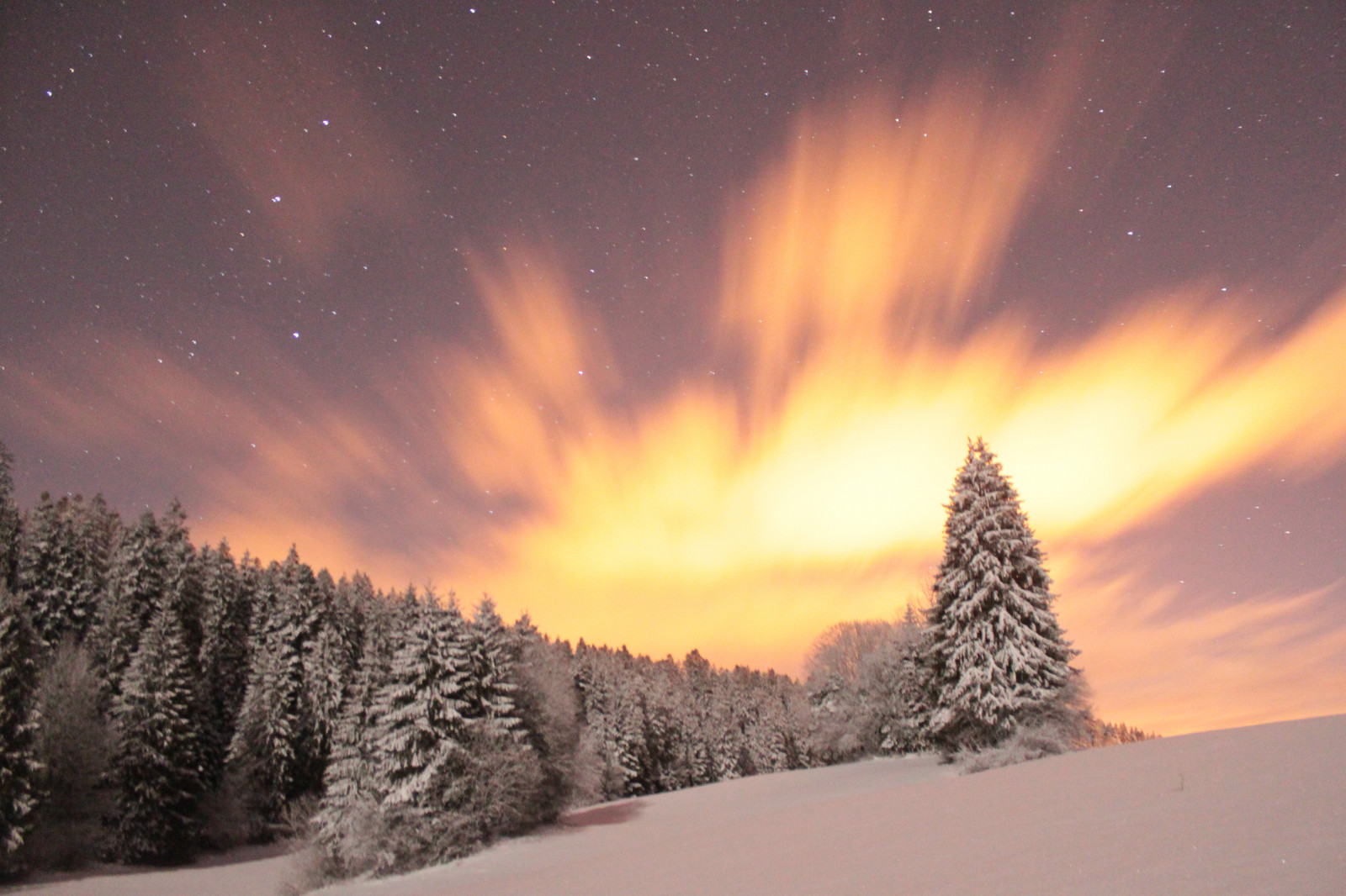 Wallpaper : wood, original, light, wild, Moon, house, mountain, snow ...