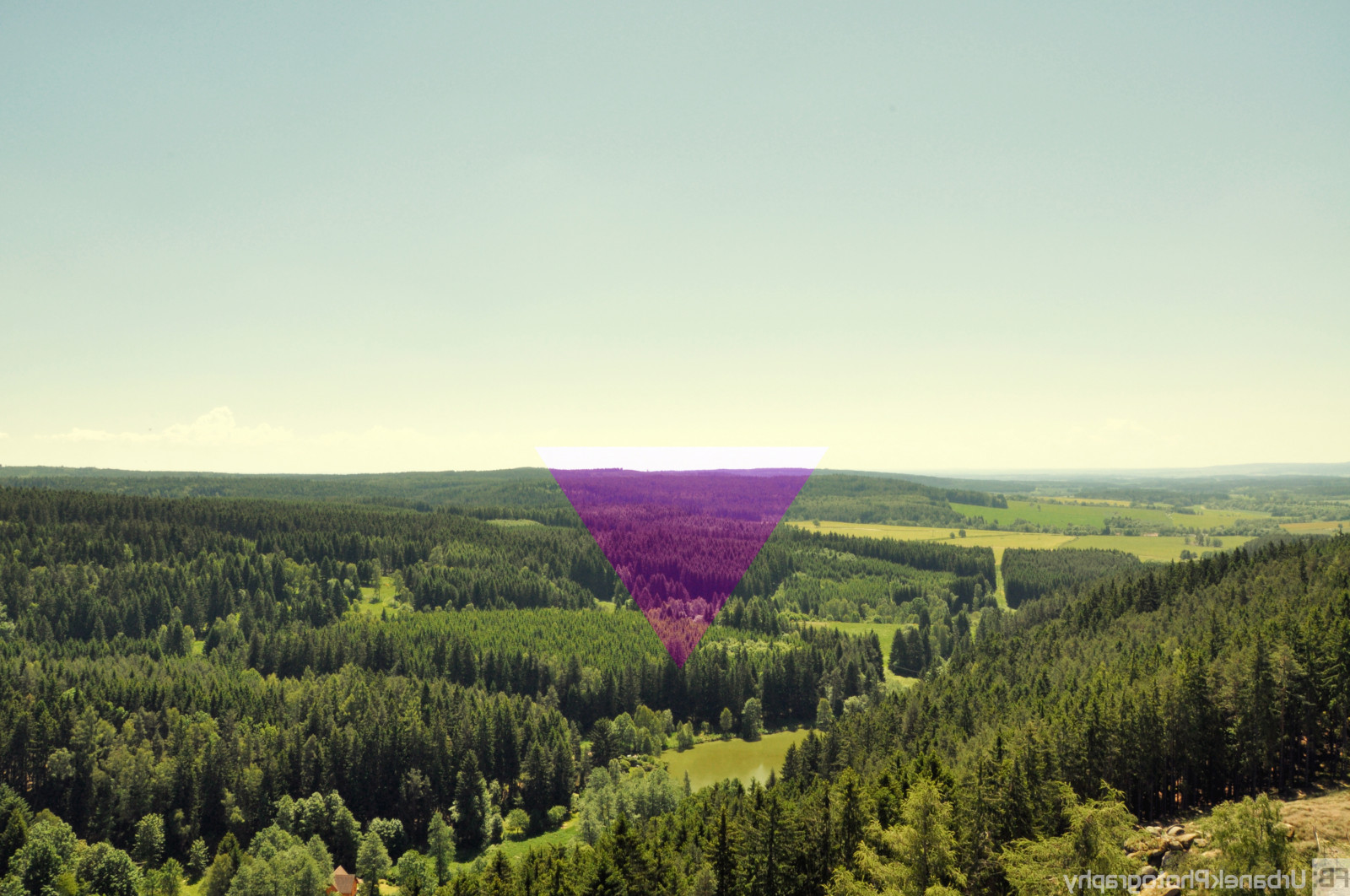 Wallpaper : trees, landscape, forest, hill, nature, grass, sky, plants ...