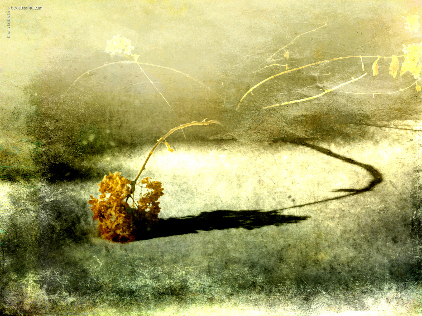 Wallpaper : winter, snow, texture, nature, Photoshop, shadows, Montreal ...