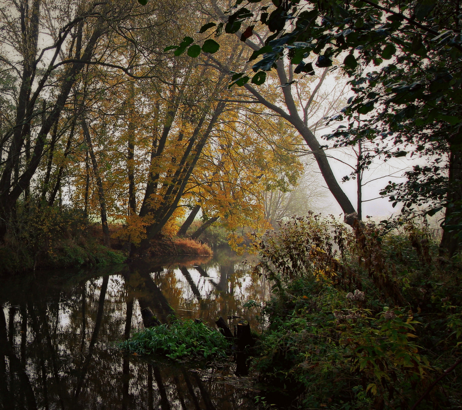 Wallpaper : autumn, trees, light, Canon, river, landscape, scenery ...