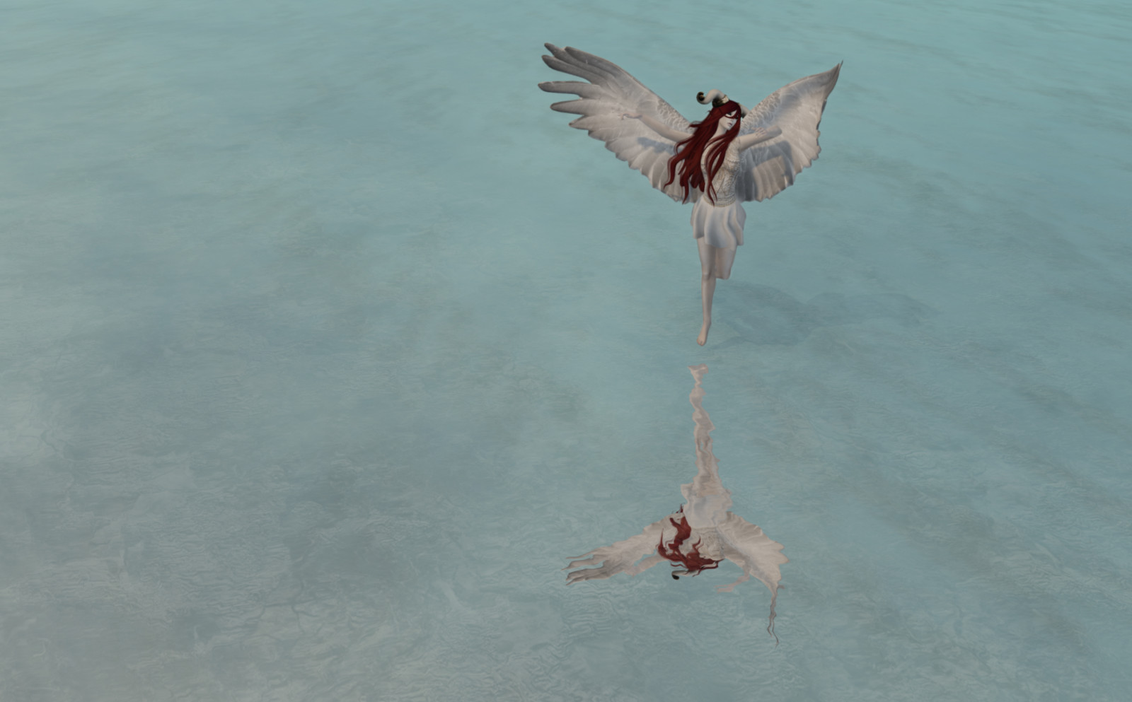 Wallpaper : white, sea, sky, angel, horns, blue, wildlife, SL, seabird ...