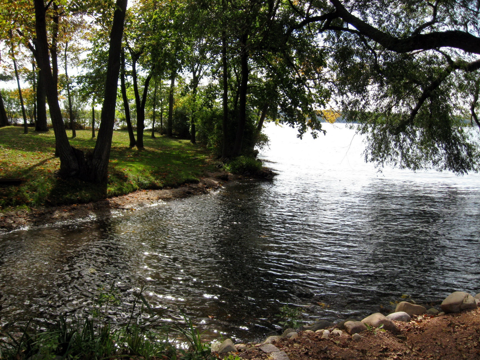 배경 화면 나무 경치 숲 강 황야 못 흐름 습지 가을 잎 빠른 작은 만 삼림지 서식지 자연 환 경