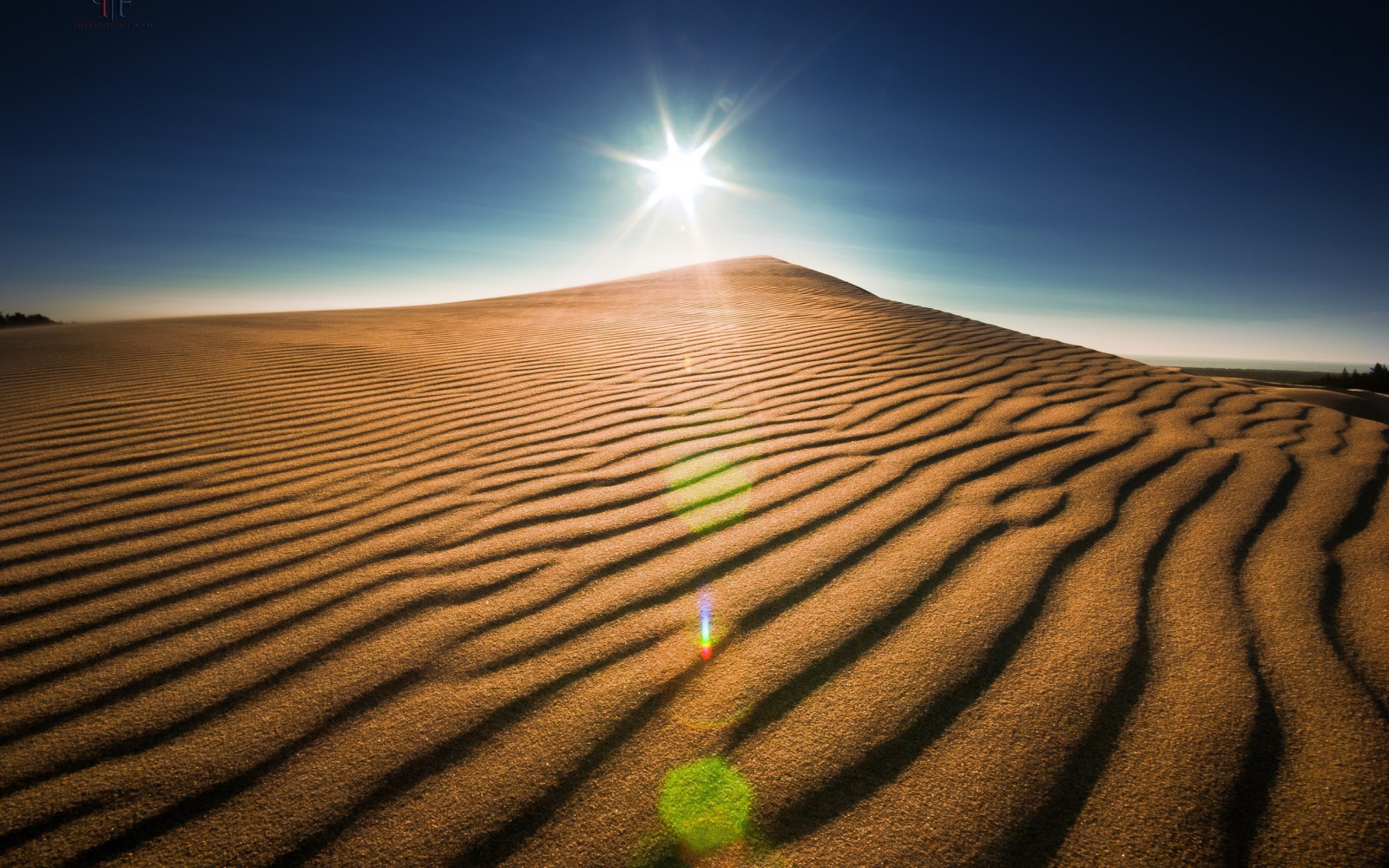 Wallpaper : pemandangan, alam, pasir, bidang, gurun, Sahara, padang ...
