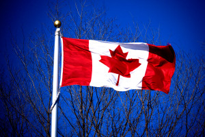 Taustakuvat : valkoinen, punainen, lippu, rakenne, Kanada, TAIDE, puu ...