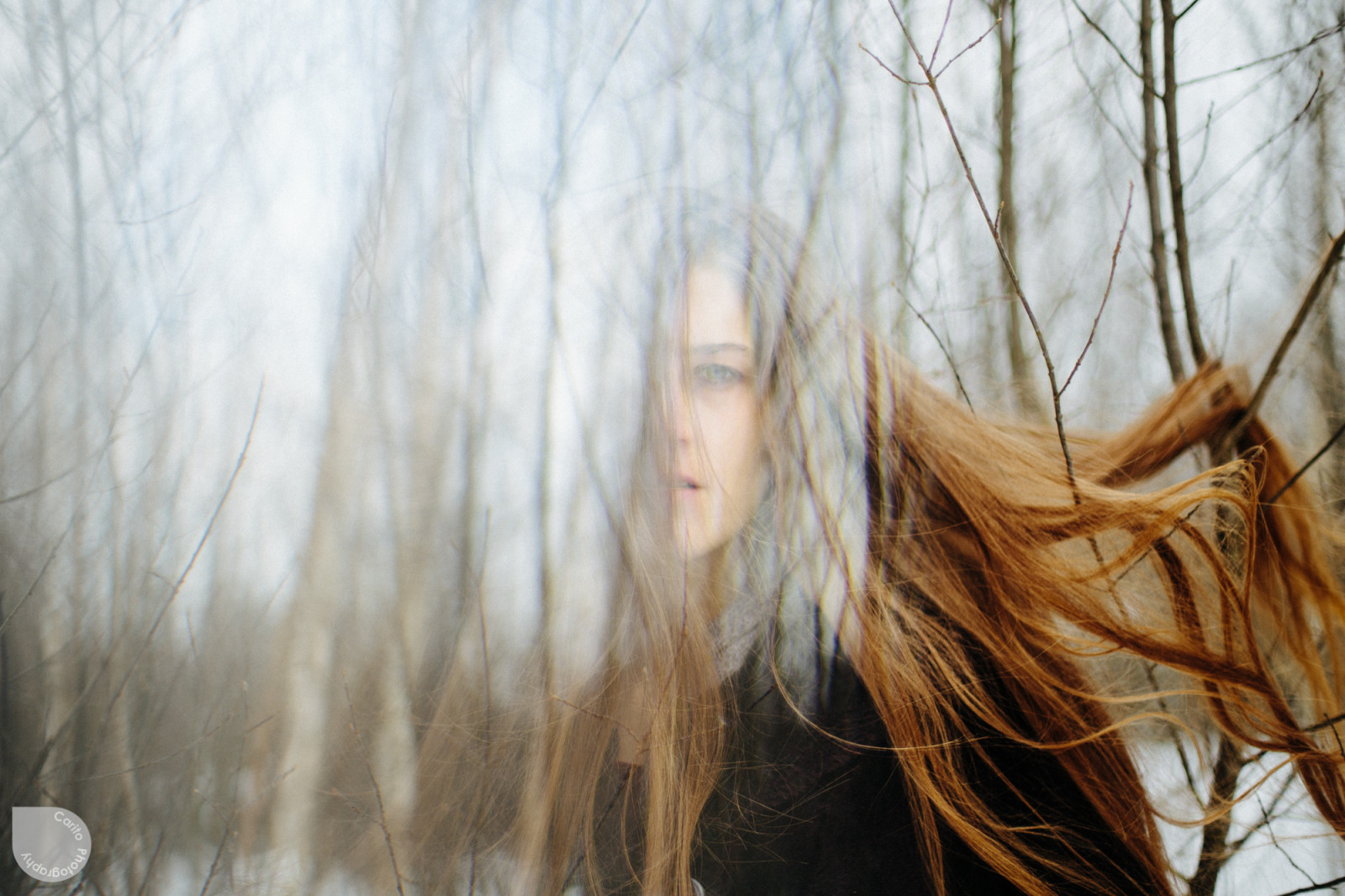 Wallpaper : sunlight, trees, forest, model, portrait, long hair, grass ...