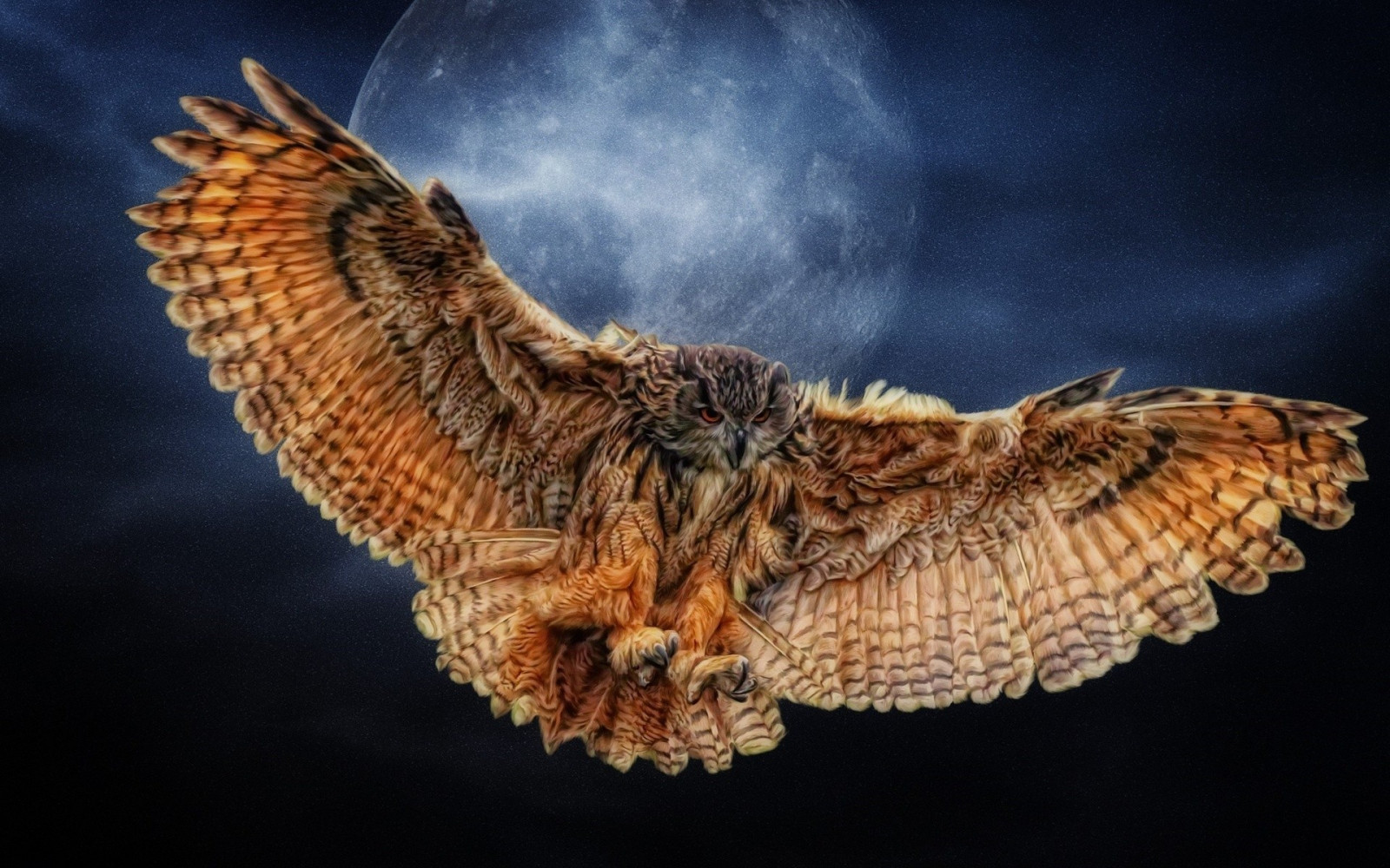Wallpaper : animals, nature, Moon, bird of prey, owl, eagle, Falcon ...
