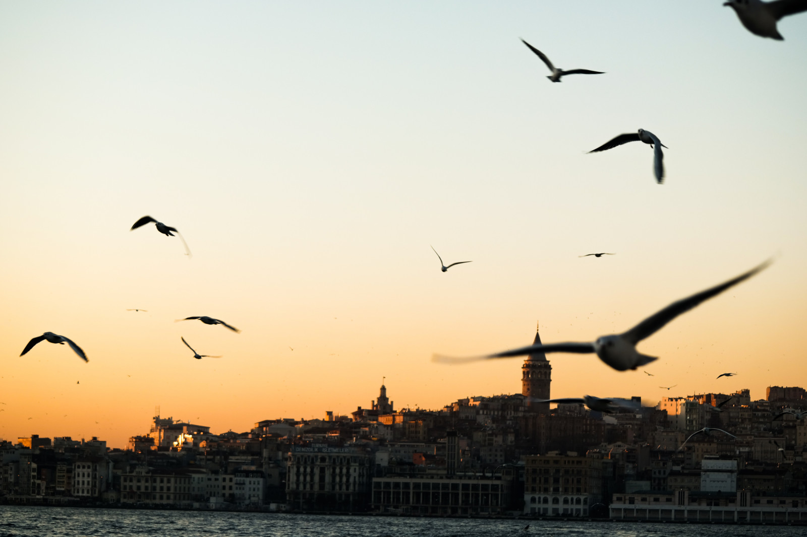 Wallpaper : tower, Turkey, seagull, turkiye, Istanbul, galata 3000x2000 ...