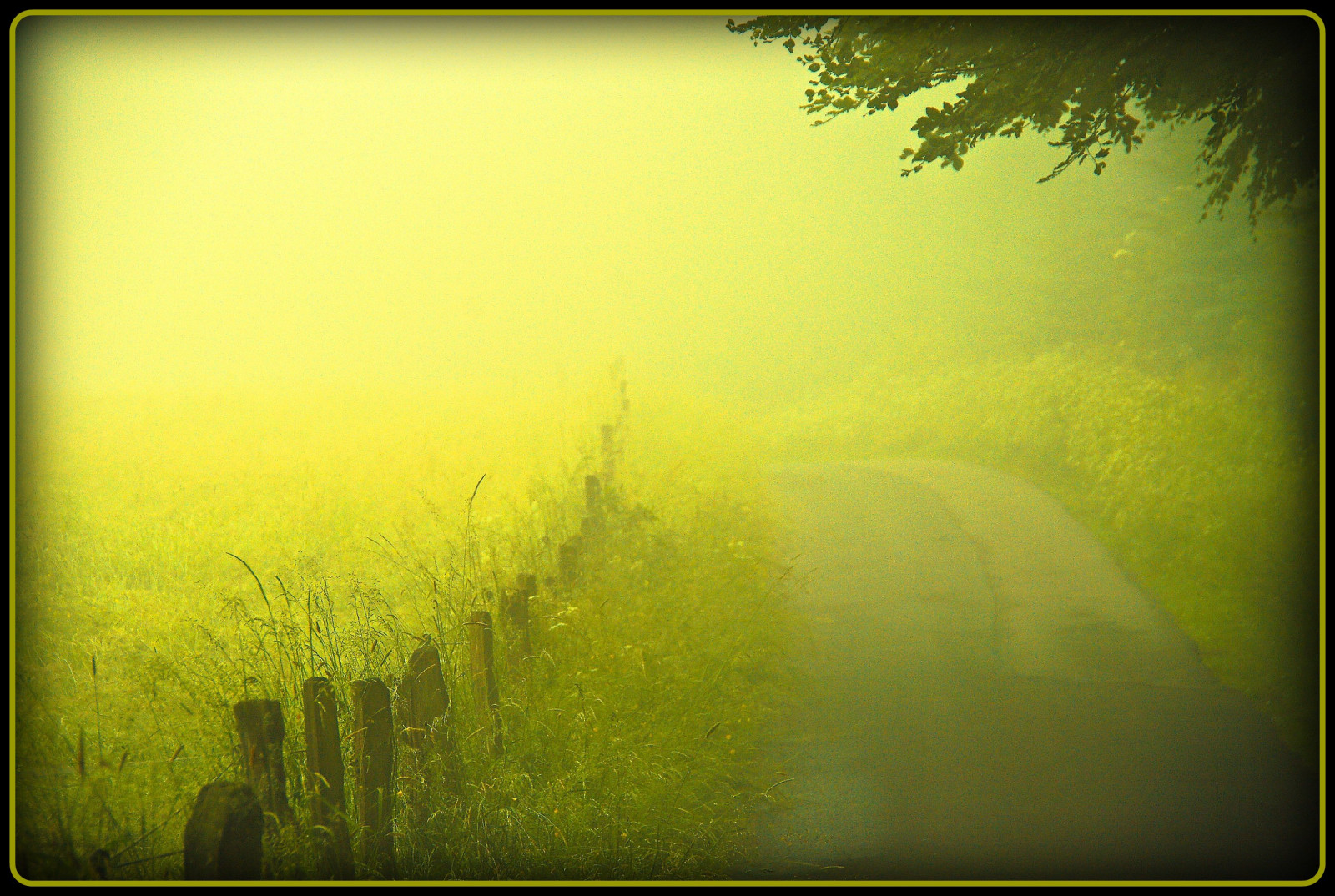 Wallpaper : street, morning, mist, ART, nature, fog, fence, way, bravo ...