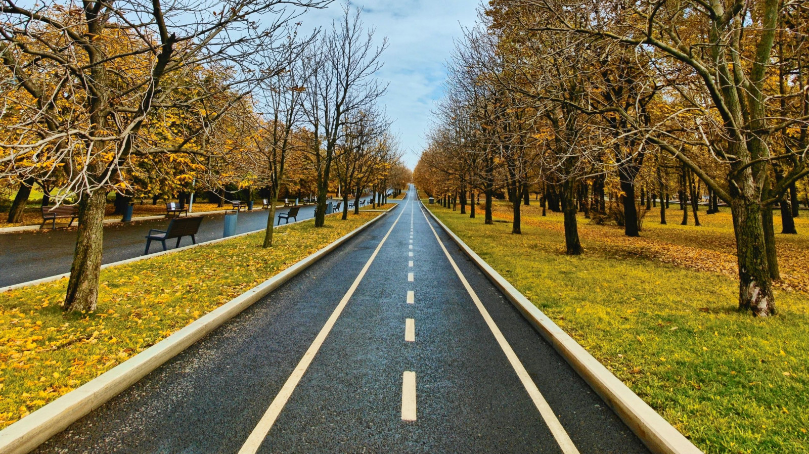 Wallpaper : road, outdoors, fall, landscape, asphalt, symmetry, trees ...