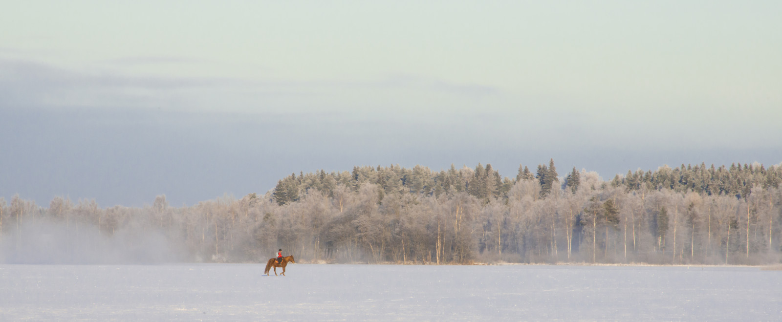 Wallpaper : winter, snow, cold, ice, fog, Finland, Nikon, January ...