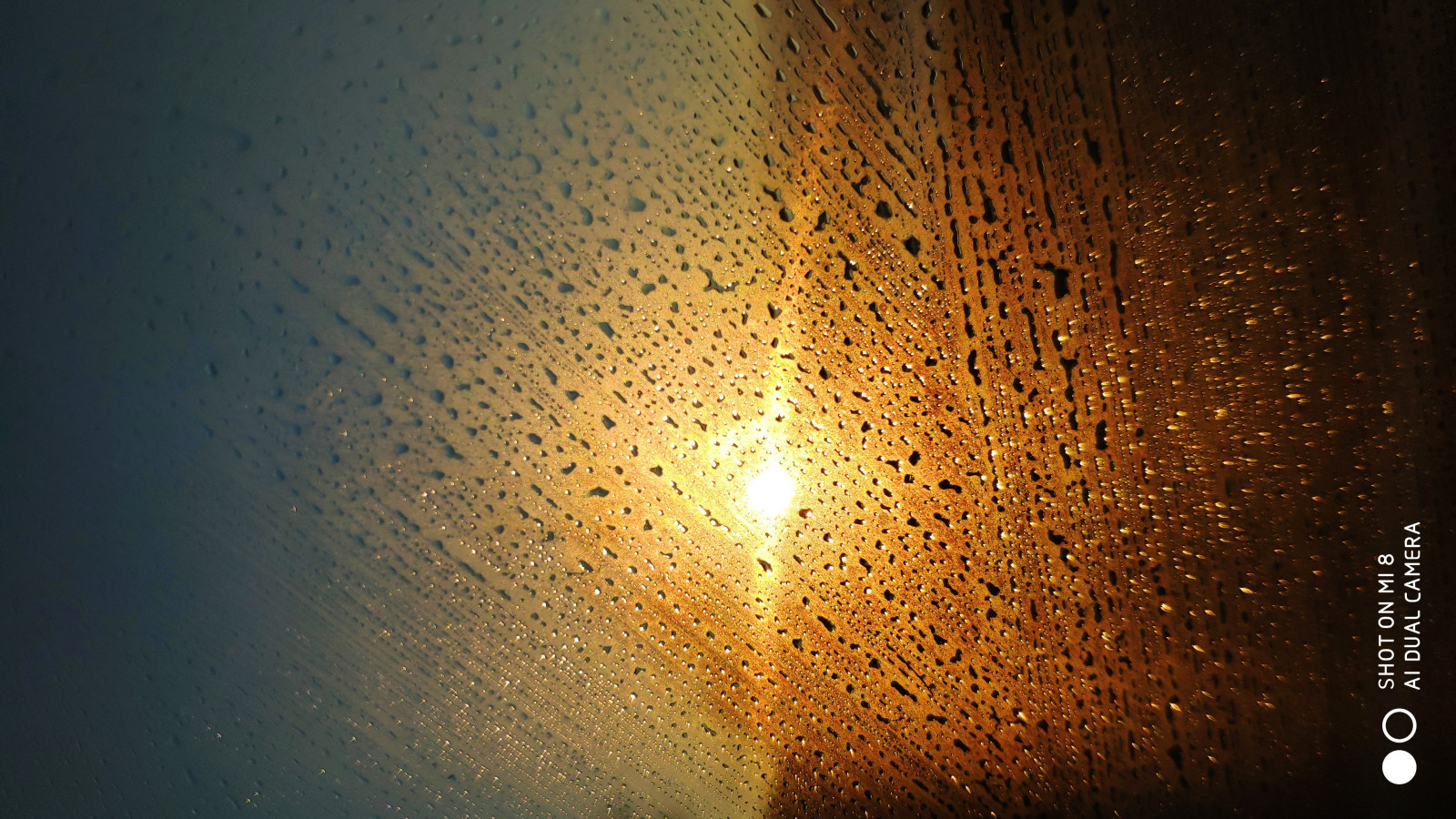 Wallpaper : nature, shades, shadow 4032x2268 - flavioramos - 1571797 ...