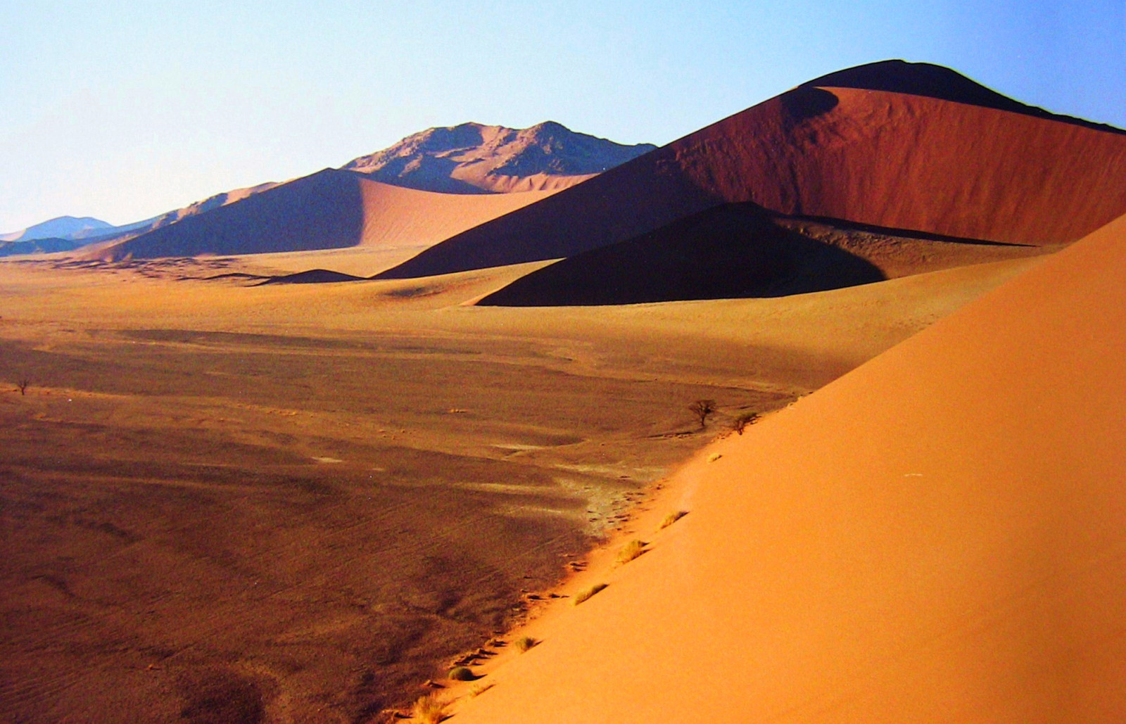 Desert Plateau