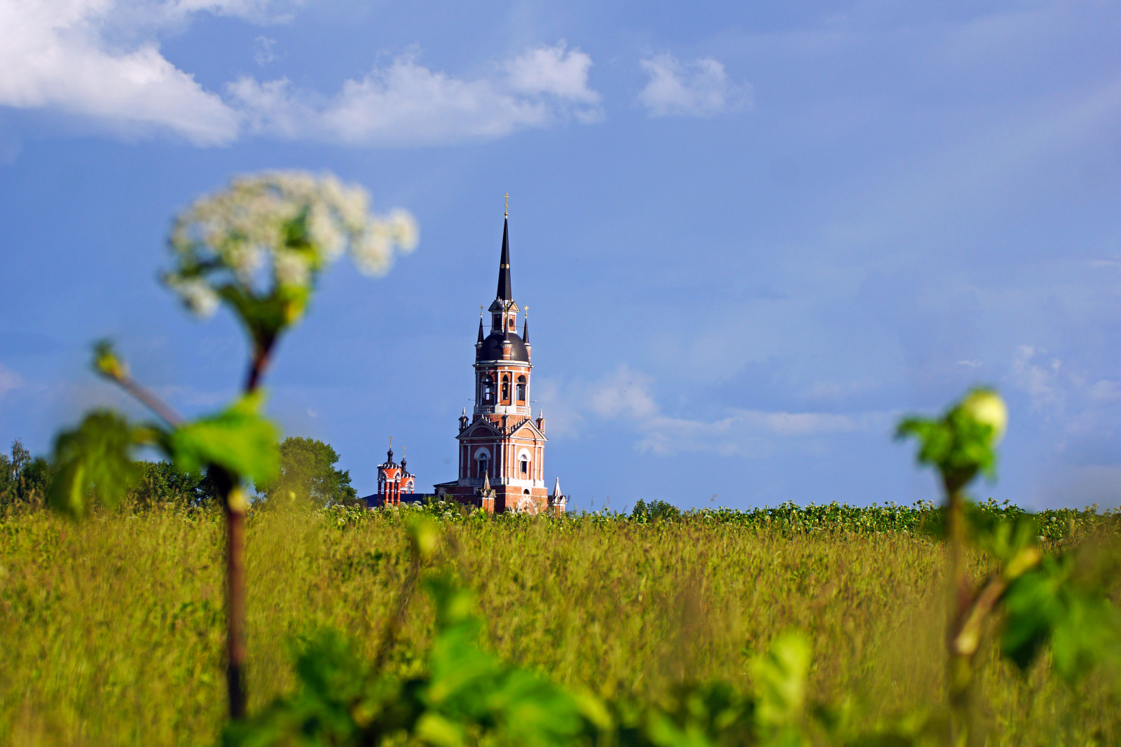 Obrázky na plochu : krajina, tráva, neba, lúka, zelená, obec, farma ...