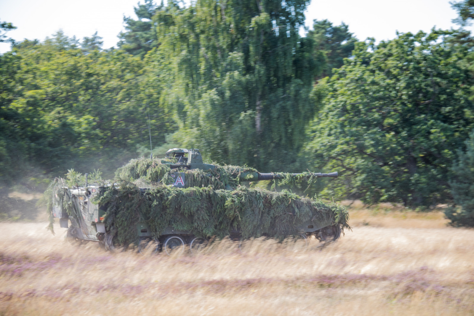 Baggrunde : tank, militær, hø, milit r, revingehed, p7, ragementetsdag ...